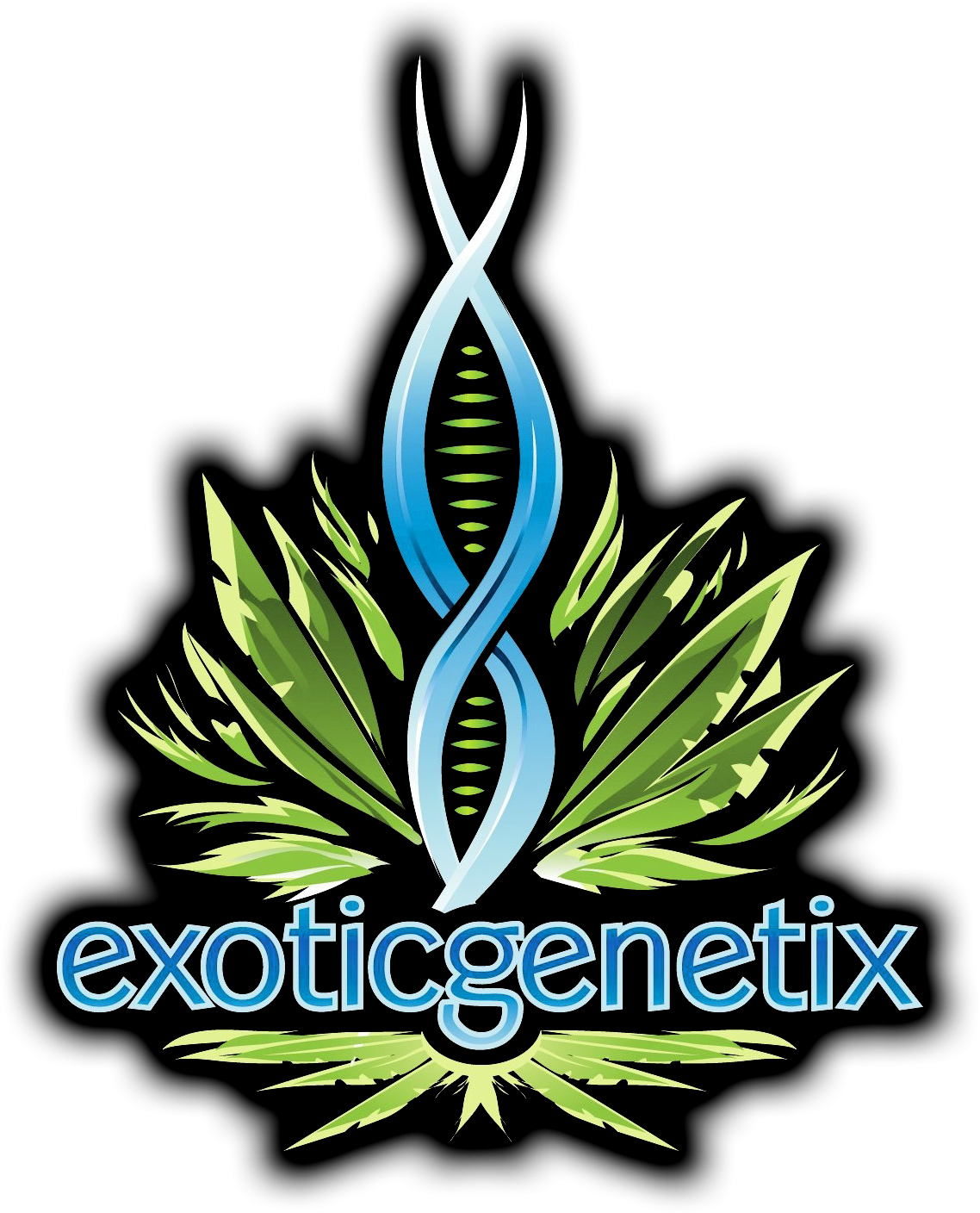 Exotic Genetix: Grease Monkey Wax 1g | Leafly