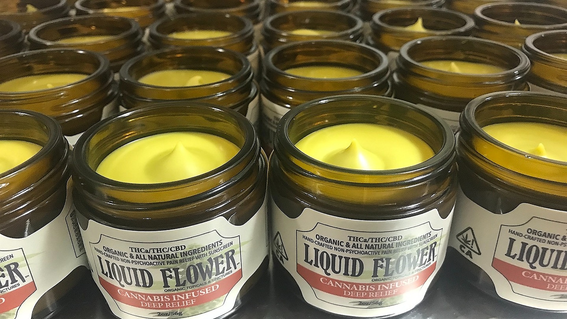 Liquid Flower: Whole-Plant, all-natural solutions for health and beauty ...