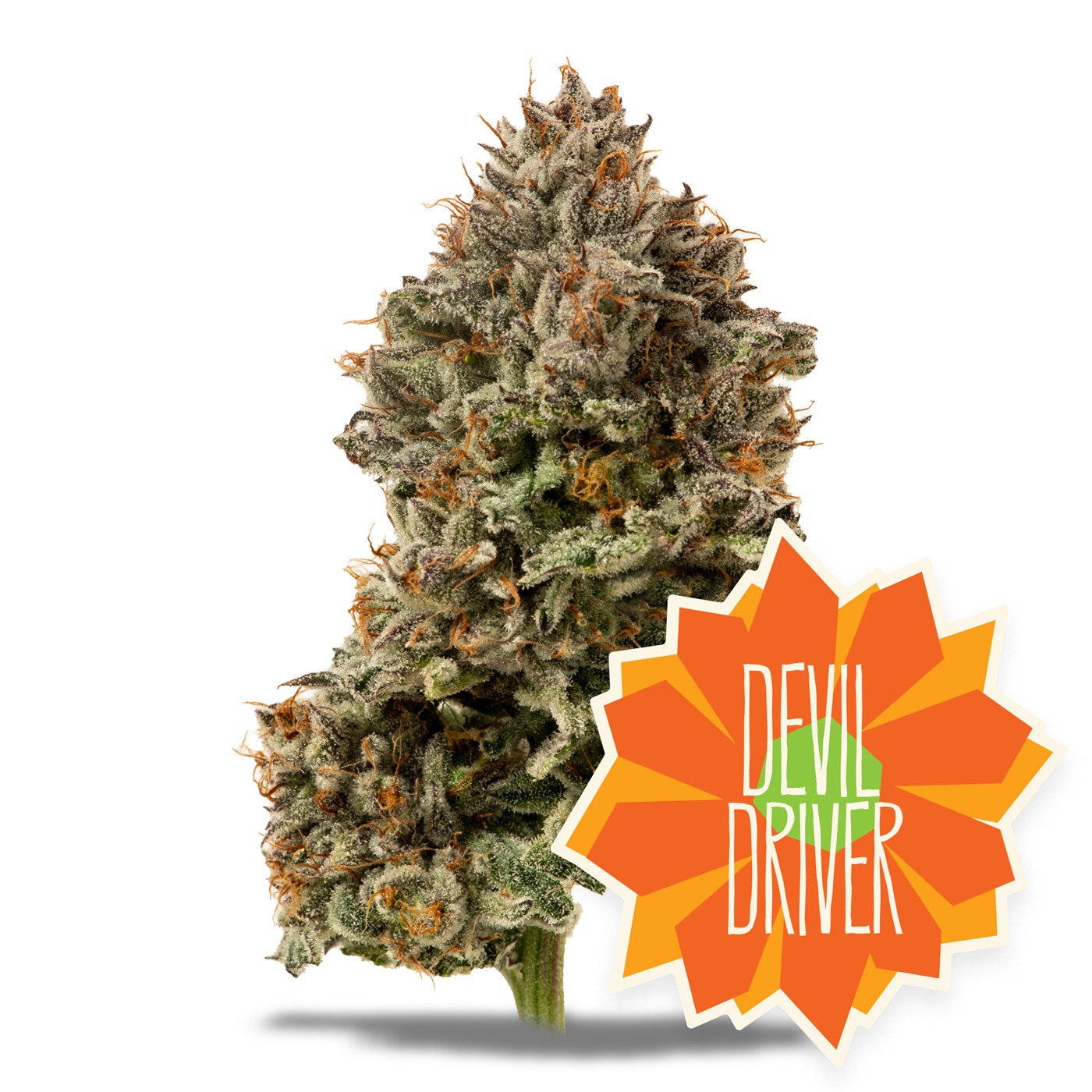 District Cannabis: Devil Driver Flower 14g | Leafly
