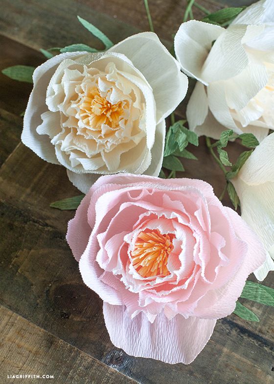 DIY Crepe Paper Peonies