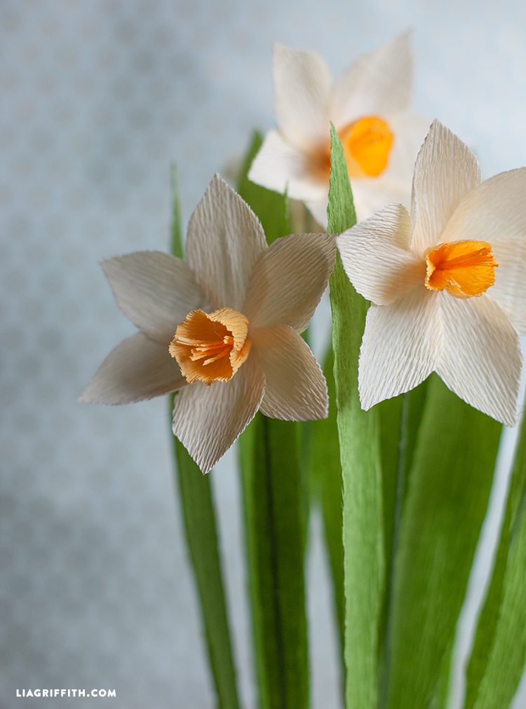 Crepe Paper Daffodils Lia Griffith