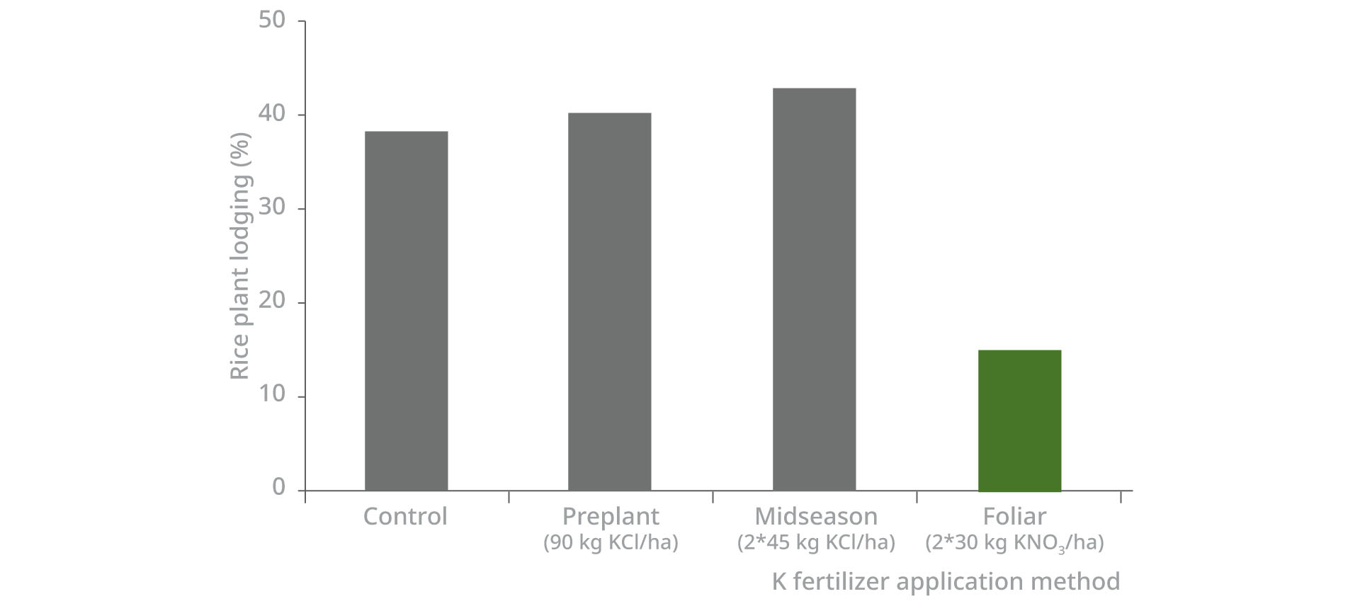 foliar-applied-potassium-nitrate-reduced-rice-lodging-incidence