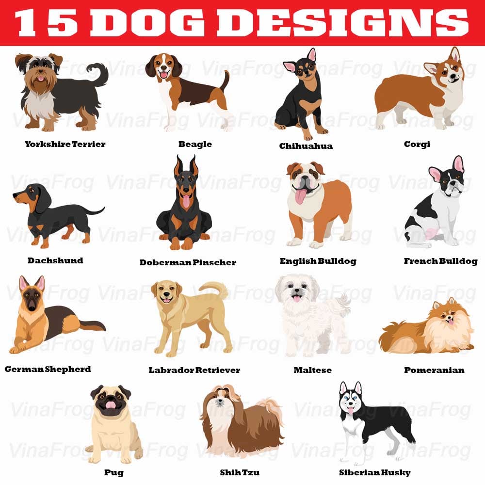 Discover The Most Types Of Cute Dogs To Suit Your Lifestyle
