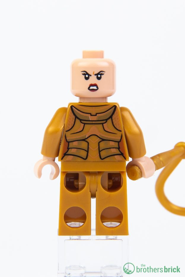 LEGO DC Comics Super Heroes 76157 Wonder Woman vs Cheetah Review-41 ...