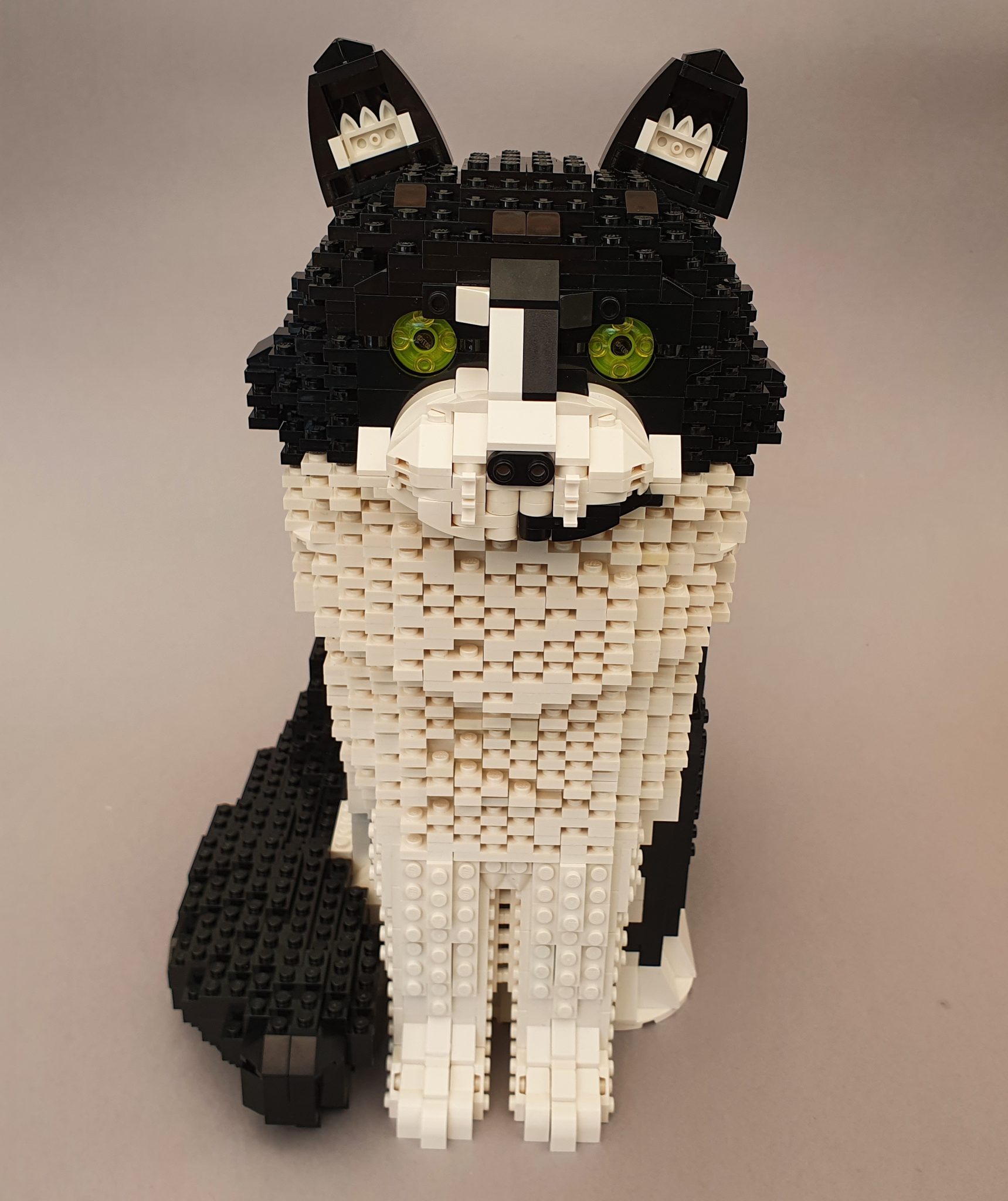 Cat - The Brothers Brick | The Brothers Brick