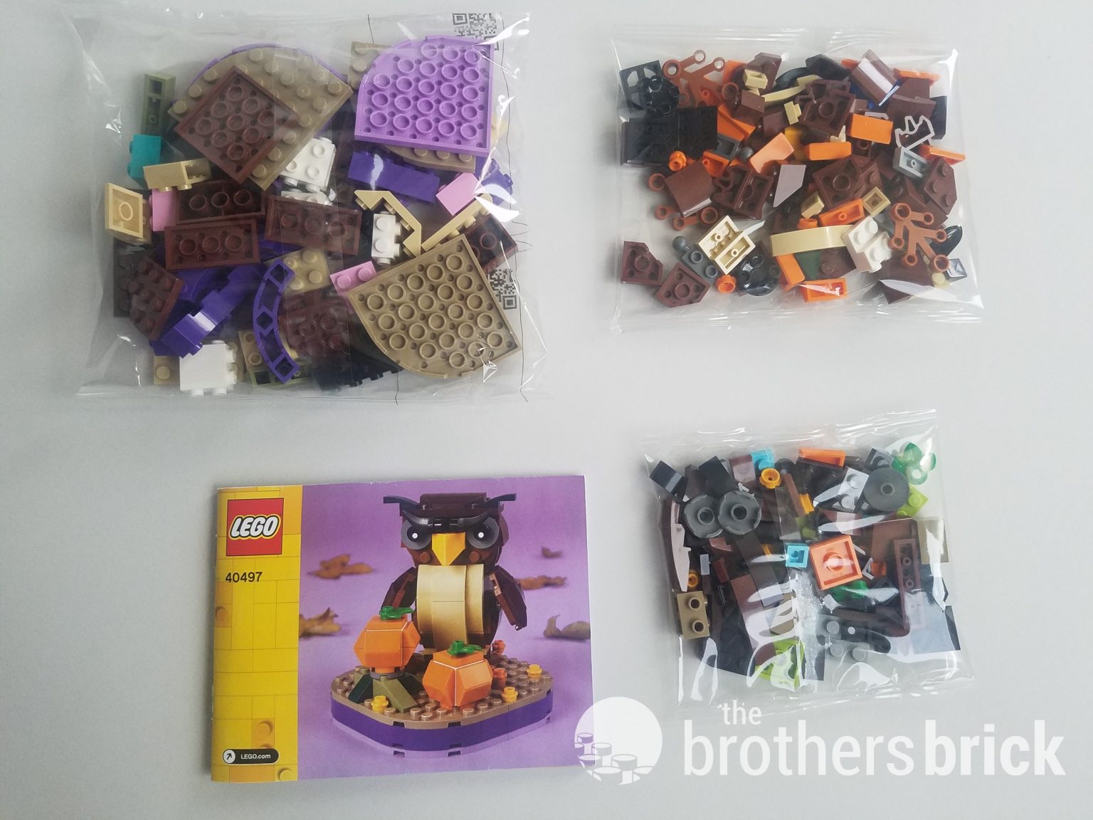 LEGO Iconic 40493 Halloween Owl and 40497 Spider & Haunted House ...