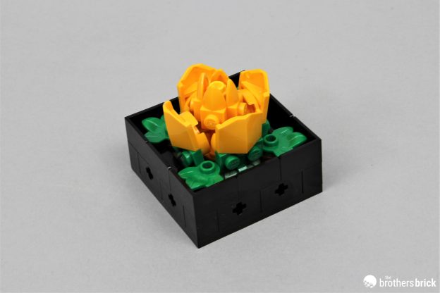 LEGO Botanical Collection 10309 Succulents - faux plants that don't ...