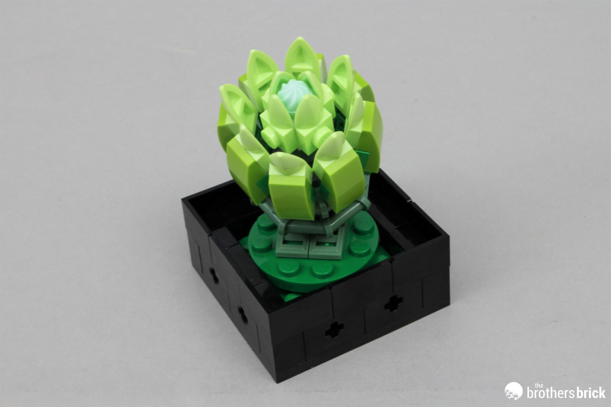 LEGO Botanical Collection 10309 Succulents - faux plants that don't ...