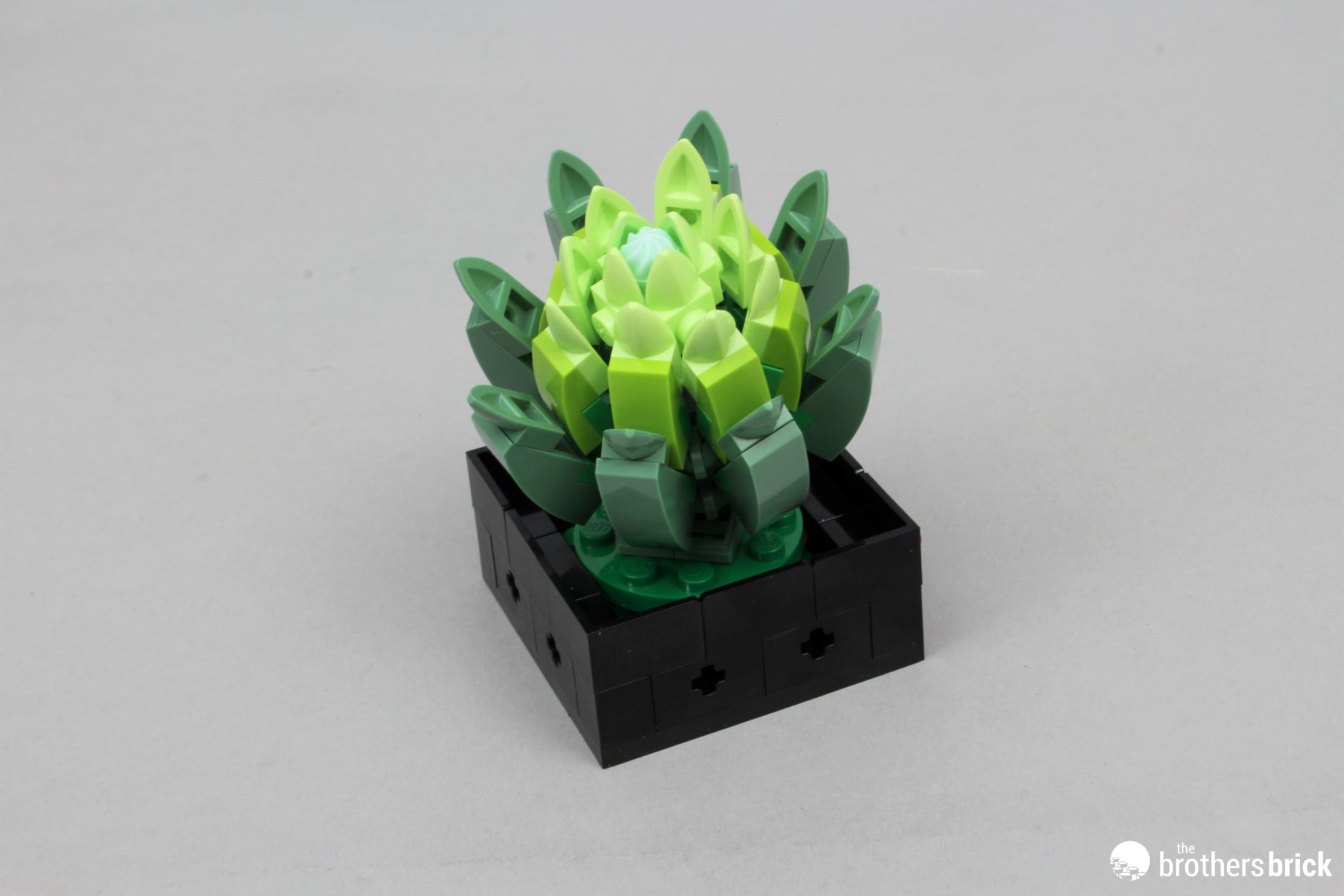 LEGO Botanical Collection 10309 Succulents - faux plants that don't ...