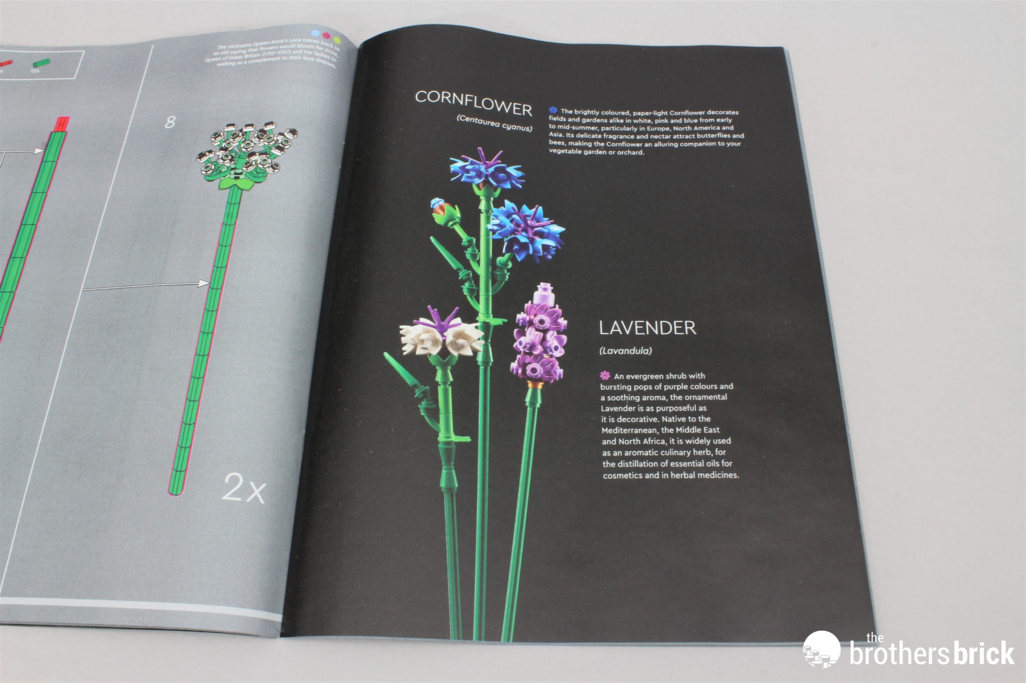 LEGO Icons Botanical Collection 10313 Wildflower Bouquet - A diverse ...