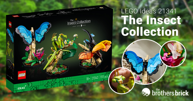 LEGO reveals The Insect Collection as the next LEGO Ideas set [News ...
