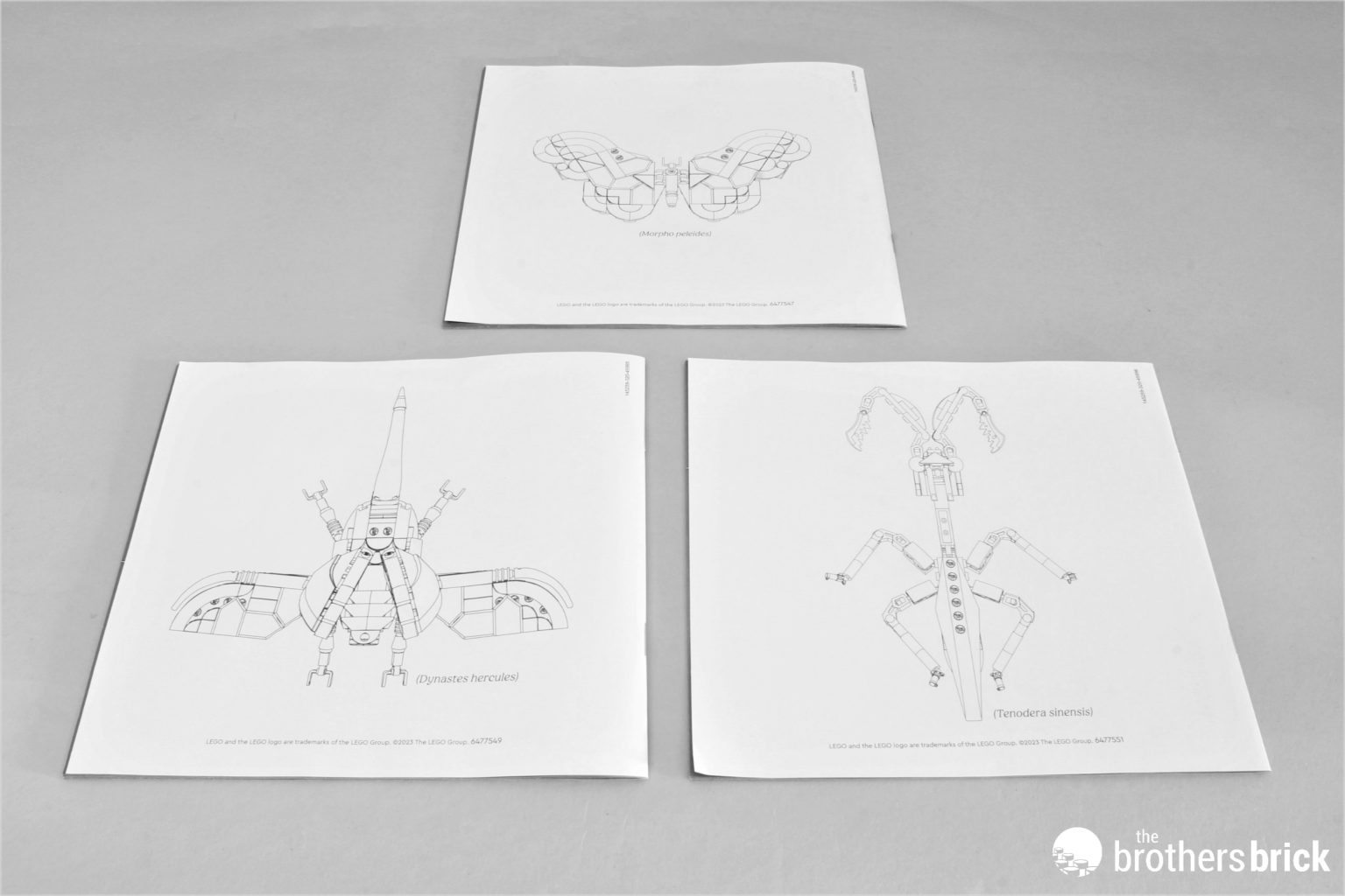 LEGO Ideas 21342 The Insect Collection - Botanicals meets animals ...