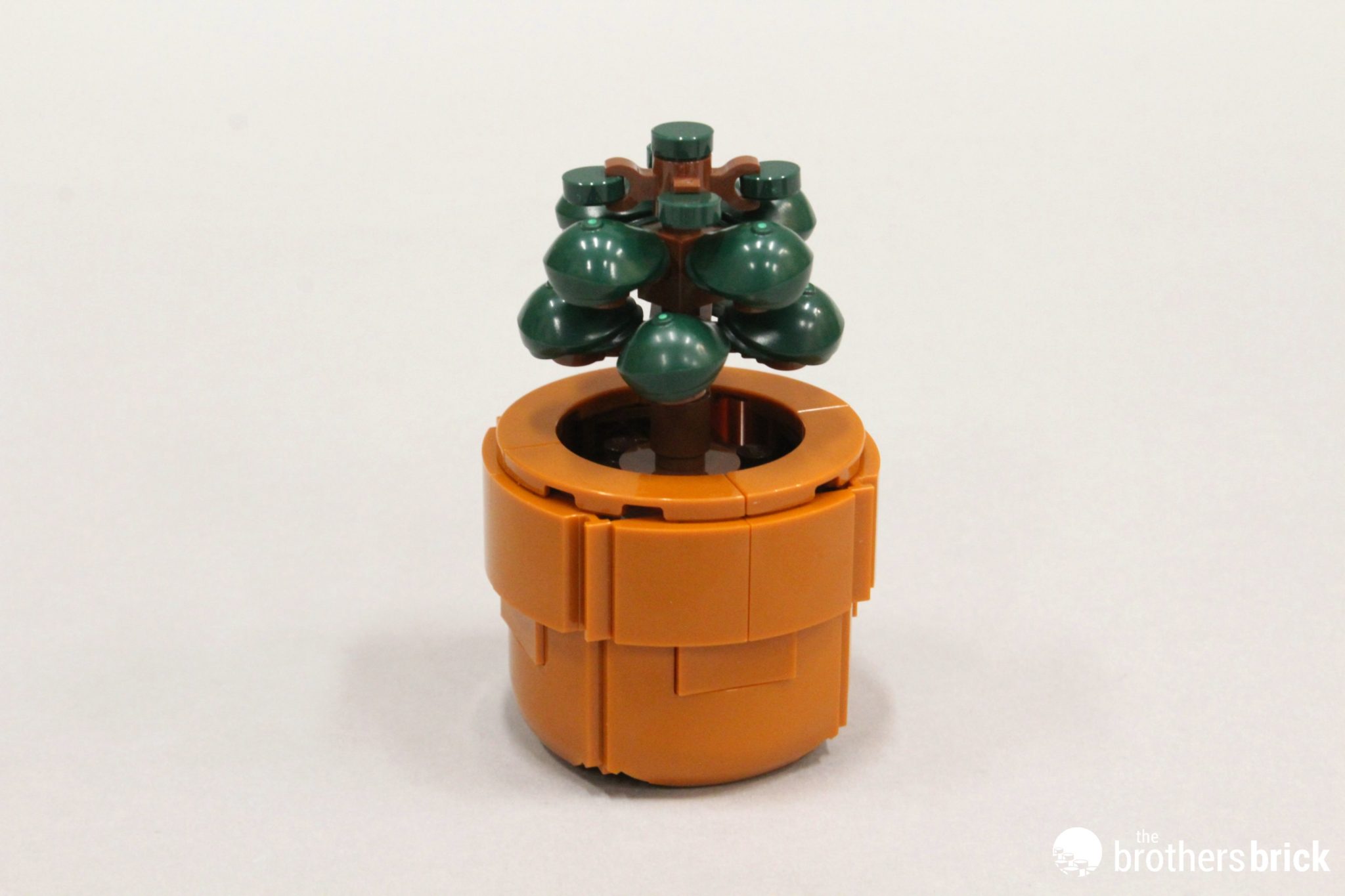 LEGO Icons Botanical Collection 10329 Tiny Plants - TBB Review - (17 ...