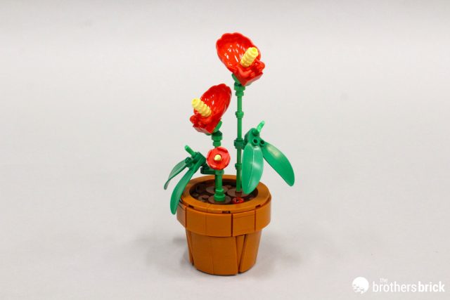 LEGO Icons Botanical Collection 10329 Tiny Plants - TBB Review - (26 ...