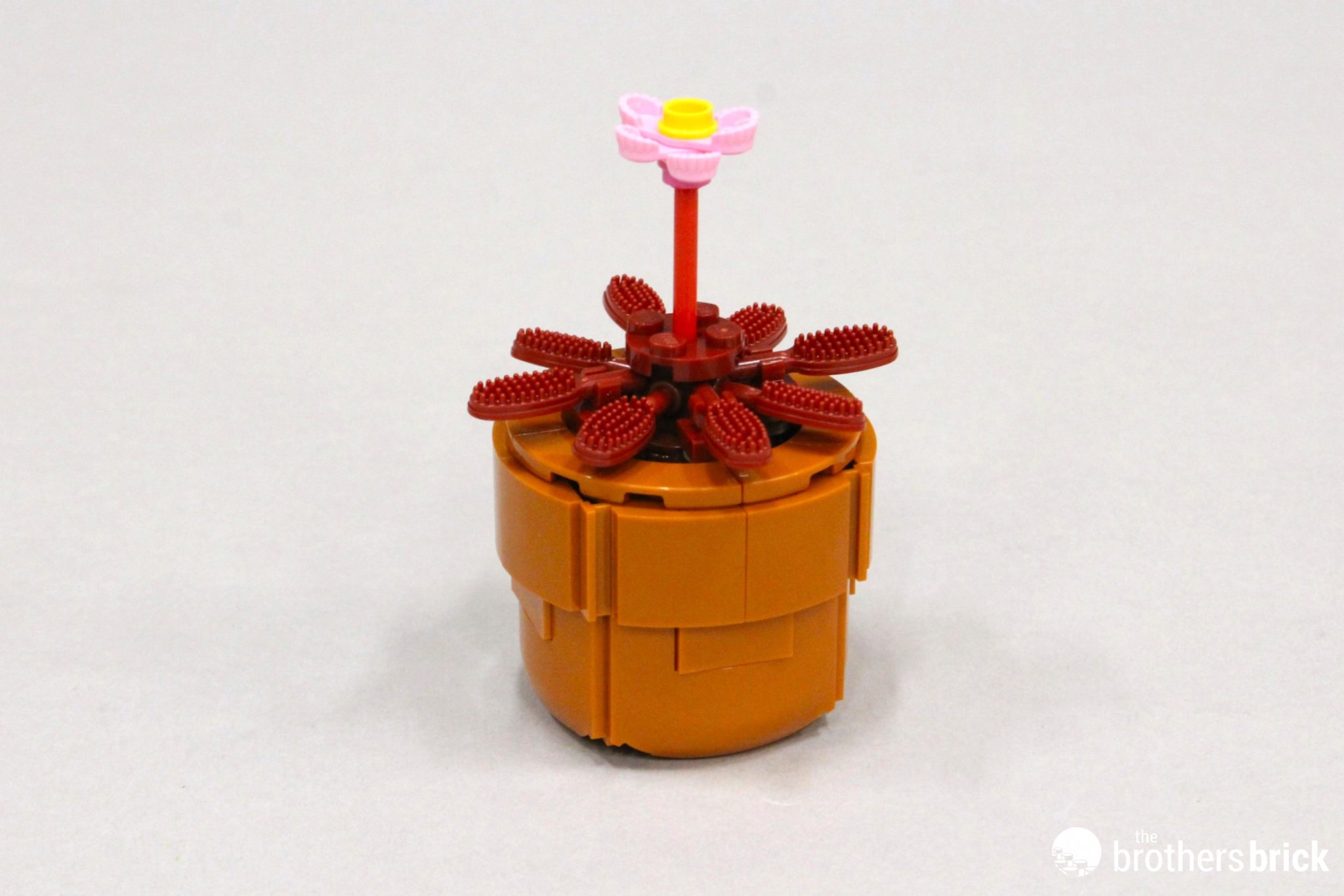 LEGO Icons Botanical Collection 10329 Tiny Plants - TBB Review - (30 ...