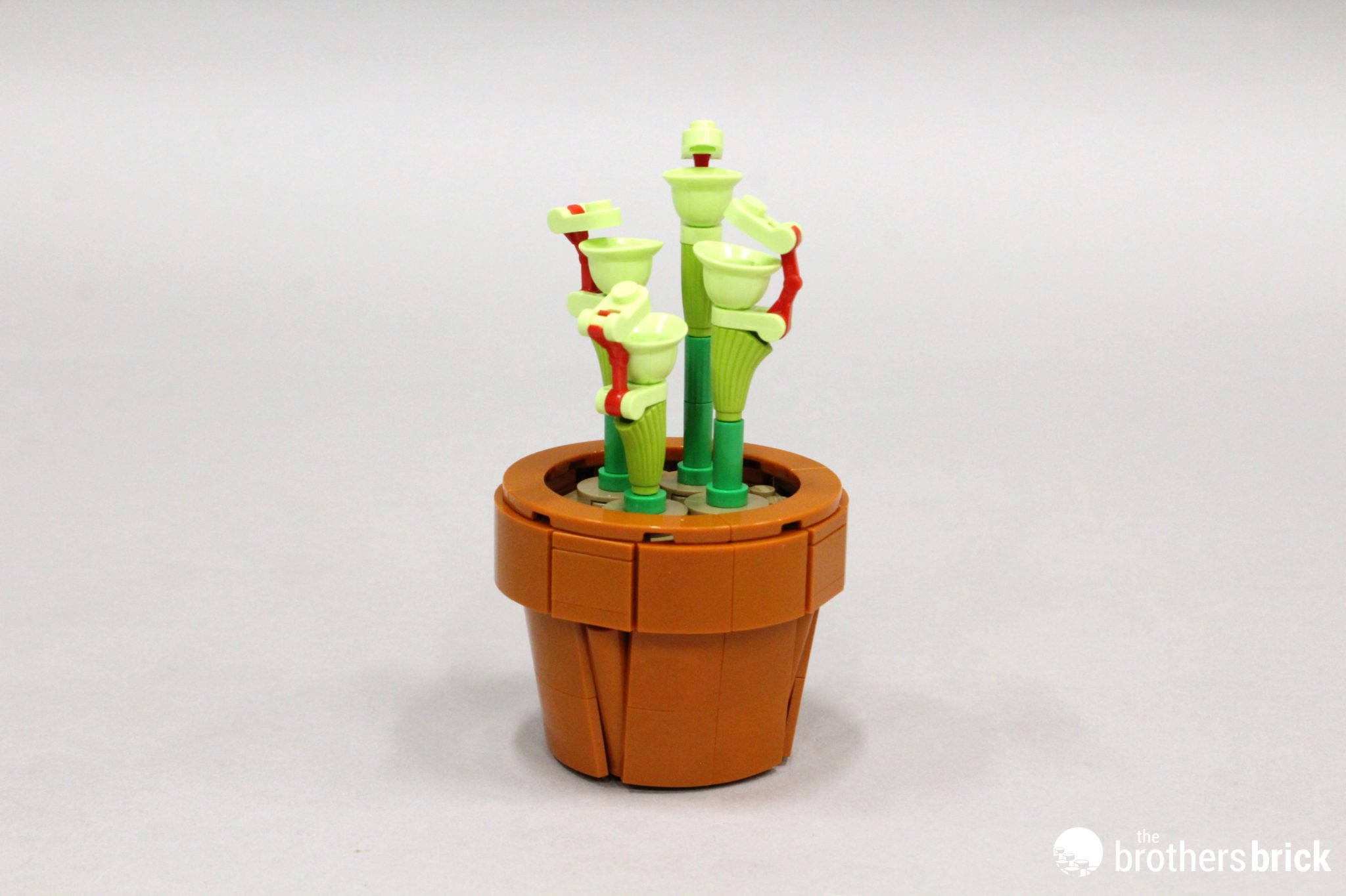 LEGO Icons Botanical Collection 10329 Tiny Plants - TBB Review - (33 ...