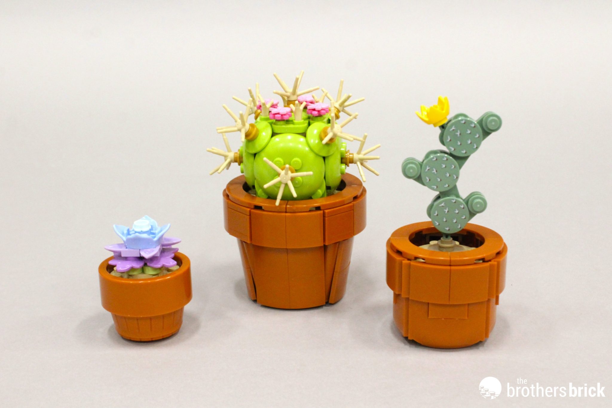 LEGO Icons Botanical Collection 10329 Tiny Plants - TBB Review - (43 ...