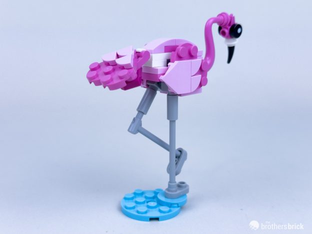 LEGO Creator 3-in-1 31150 Wild Safari Animals - TBB Review - AVJM6K-11 ...