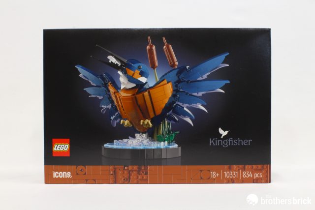 LEGO Icons 10331 Kingfisher - An iconic bird in brick [Review] - The ...