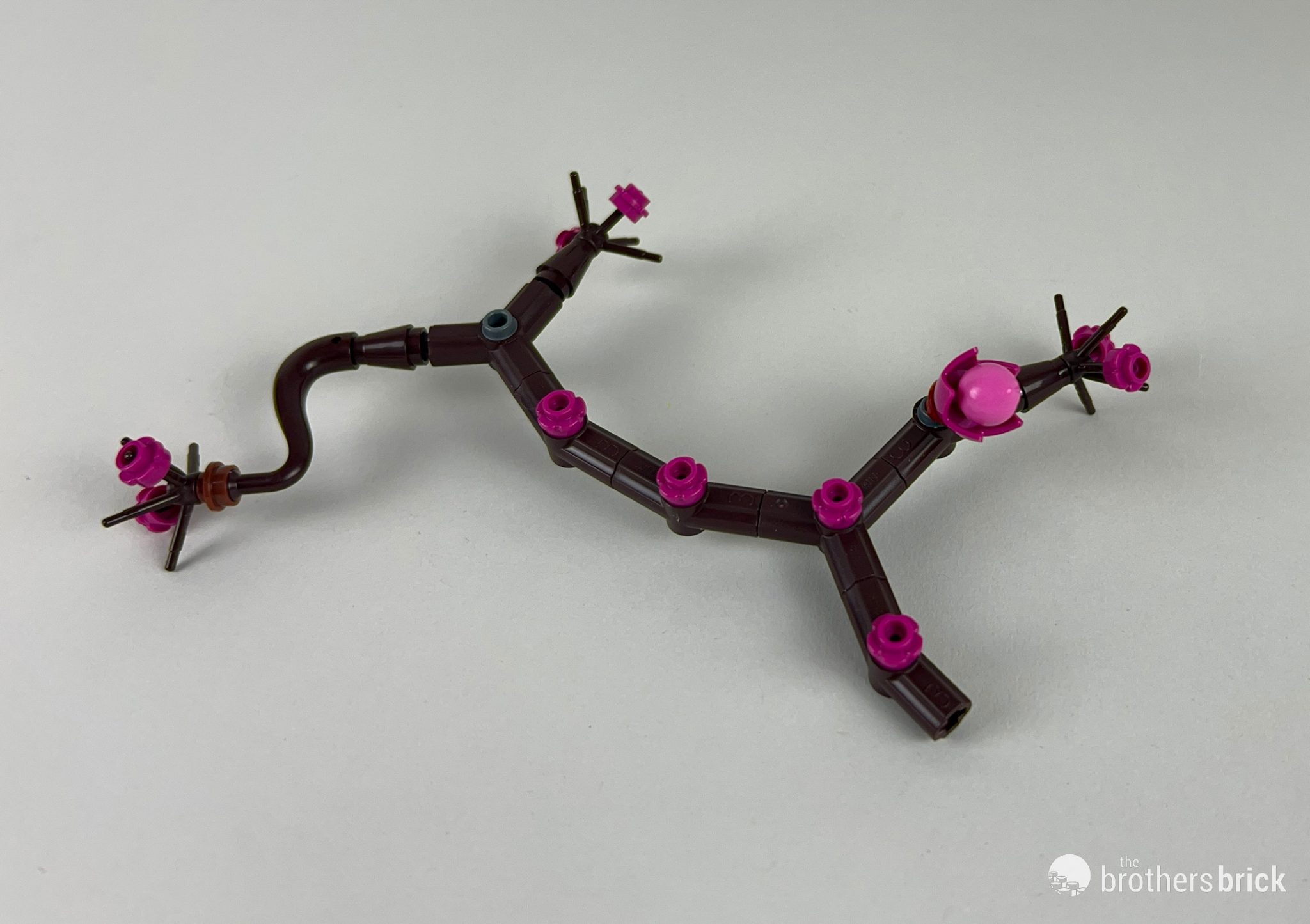 LEGO Botanical 10369 - Plum Blossom - TBB Review - PLUM-06 - The ...