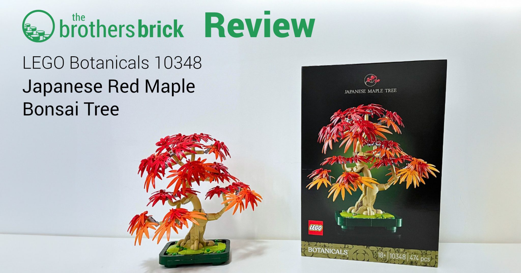 LEGO Botanicals 10348 Japanese Red Maple Bonsai Tree – A return to ...