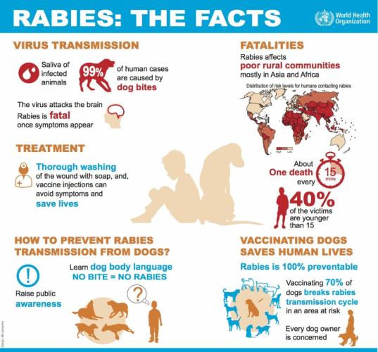 Rabies Danger Very Real With Newtown's Prolific Wildlife Population ...