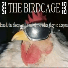 GeForce GRD 572.70 Feedback Thread ( | NVIDIA GeForce Forums