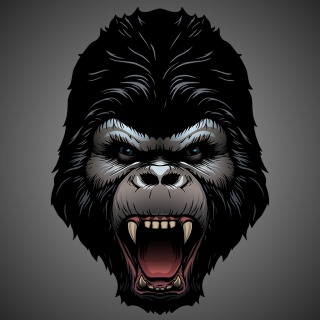 GeForce GRD 537.13 Feedback Thread ( | NVIDIA GeForce Forums