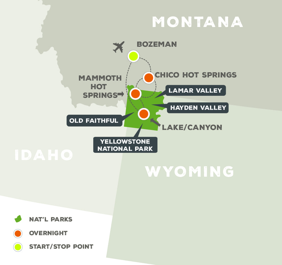 Yellowstone Wildlife Safari | Off the Beaten Path