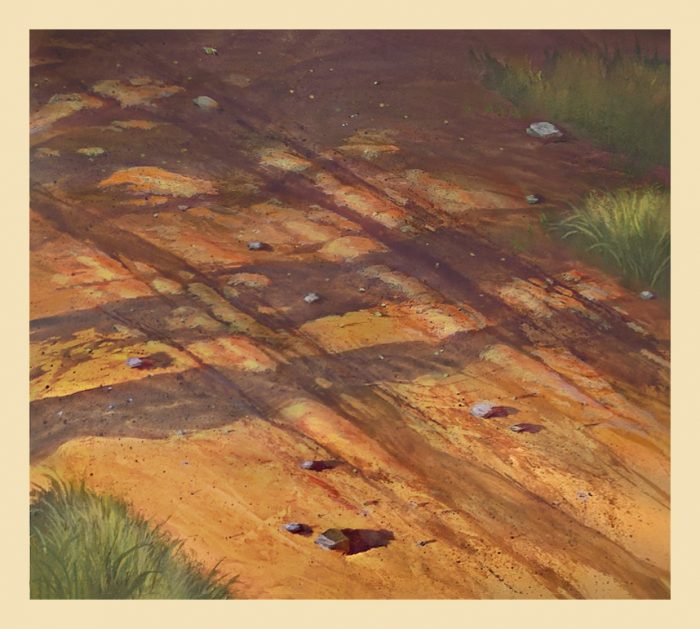 Artist Technique to Depict Ground Texture - DONALD TOWNS ART