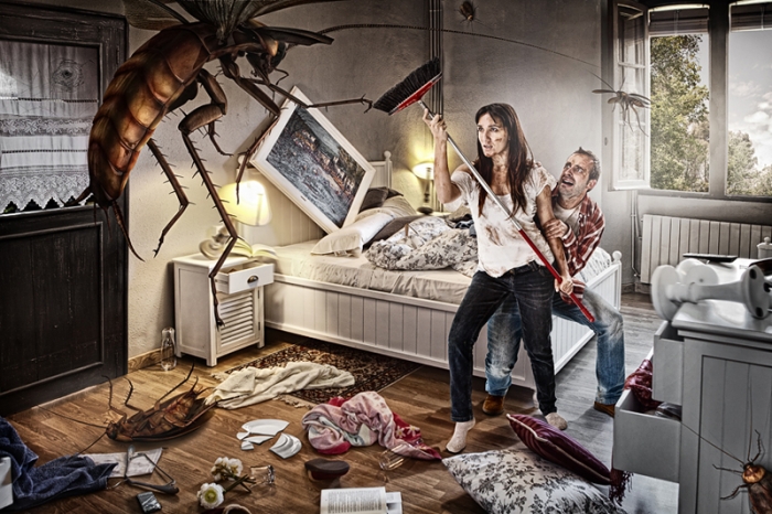 Cockroach attack | International Photo Awards