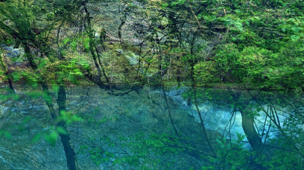 WATERMARK -river- | International Photo Awards