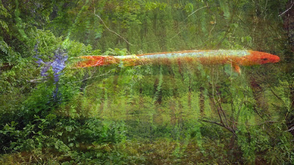 WATERMARK -river- | International Photo Awards