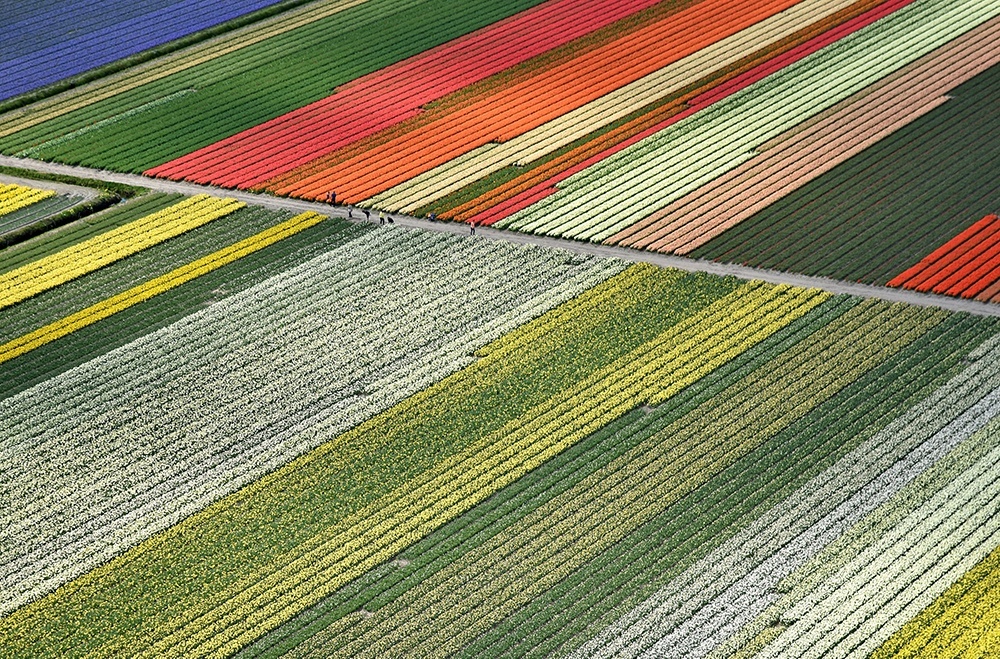 Holland Colors | International Photo Awards