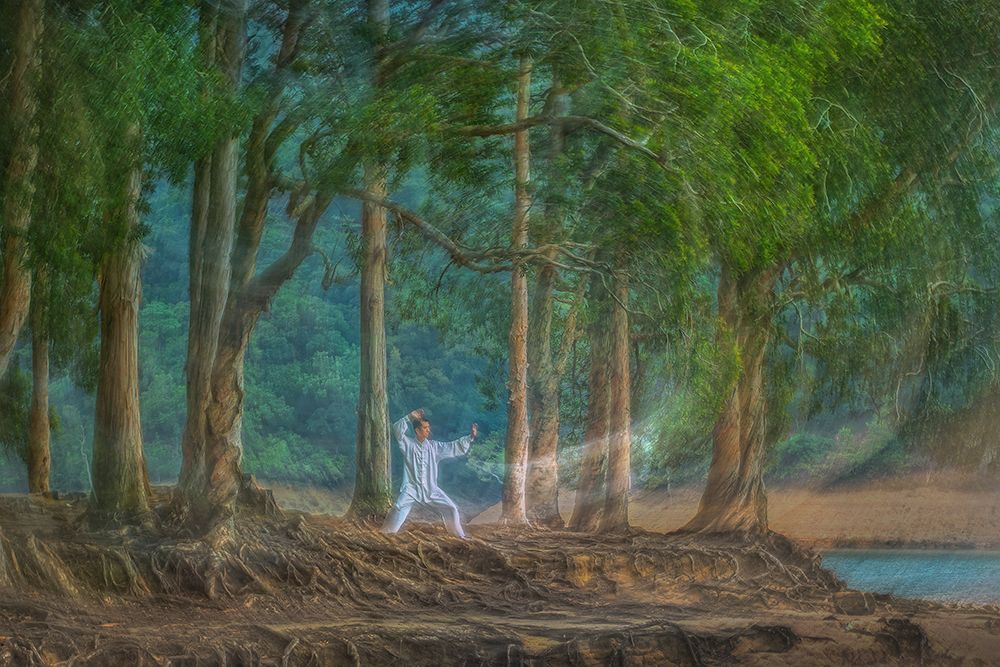 Tai chi Practice and Movements | International Photo Awards
