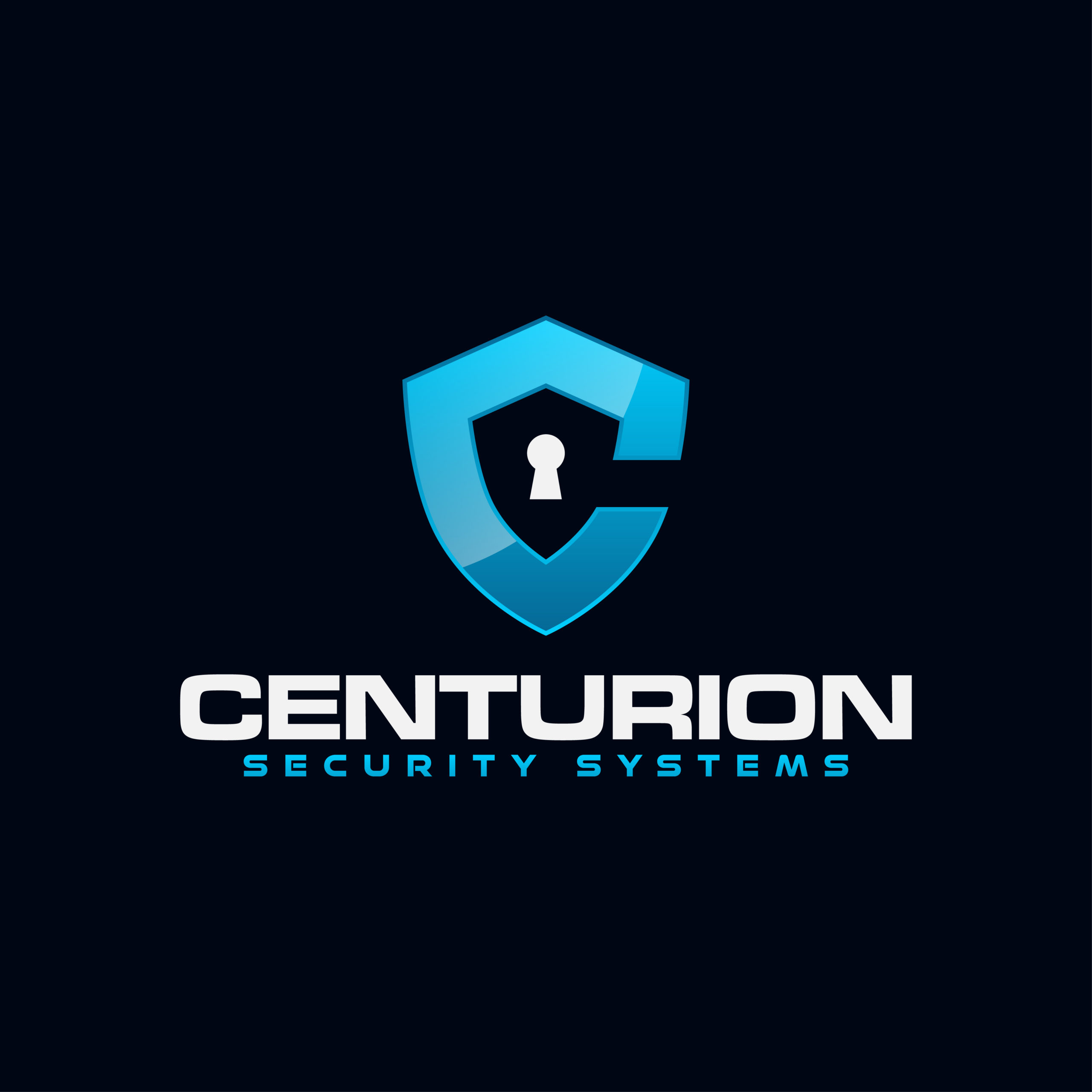 Security Logo Design Sample Security Logo Ideas NM New Mexico