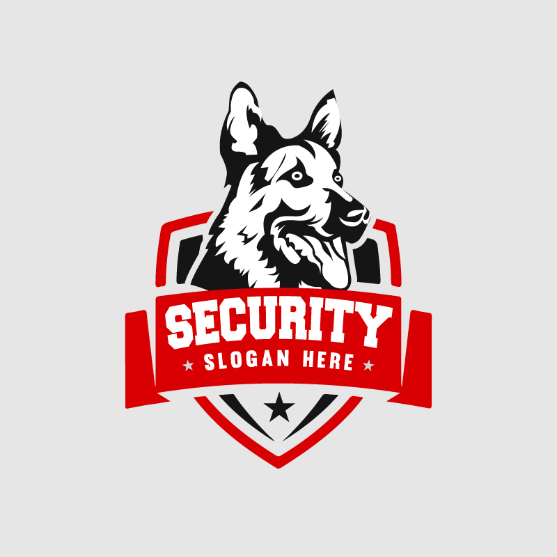 Security Logo Design Sample | Security Logo Ideas NM New Mexico