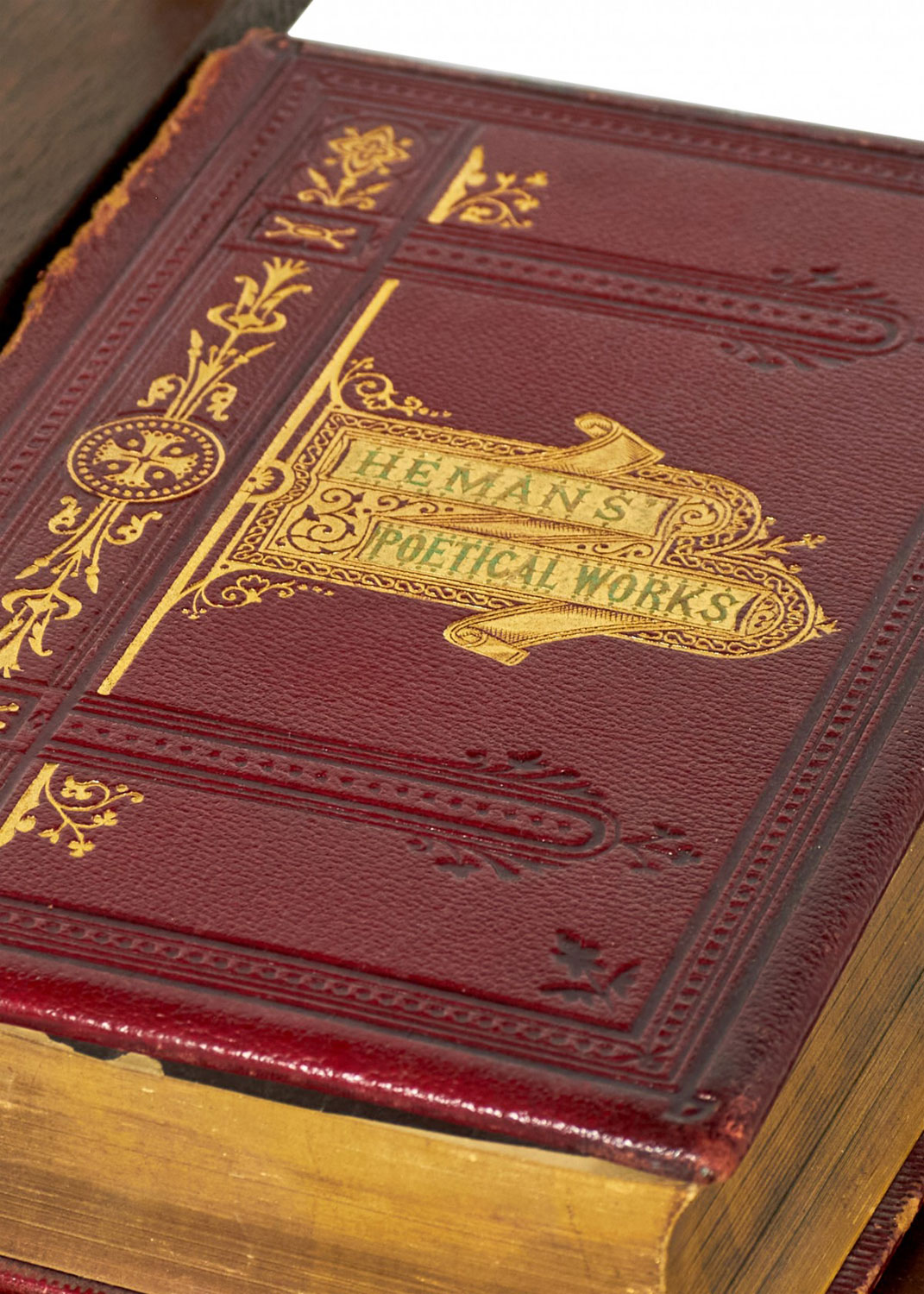 English victorian painted book