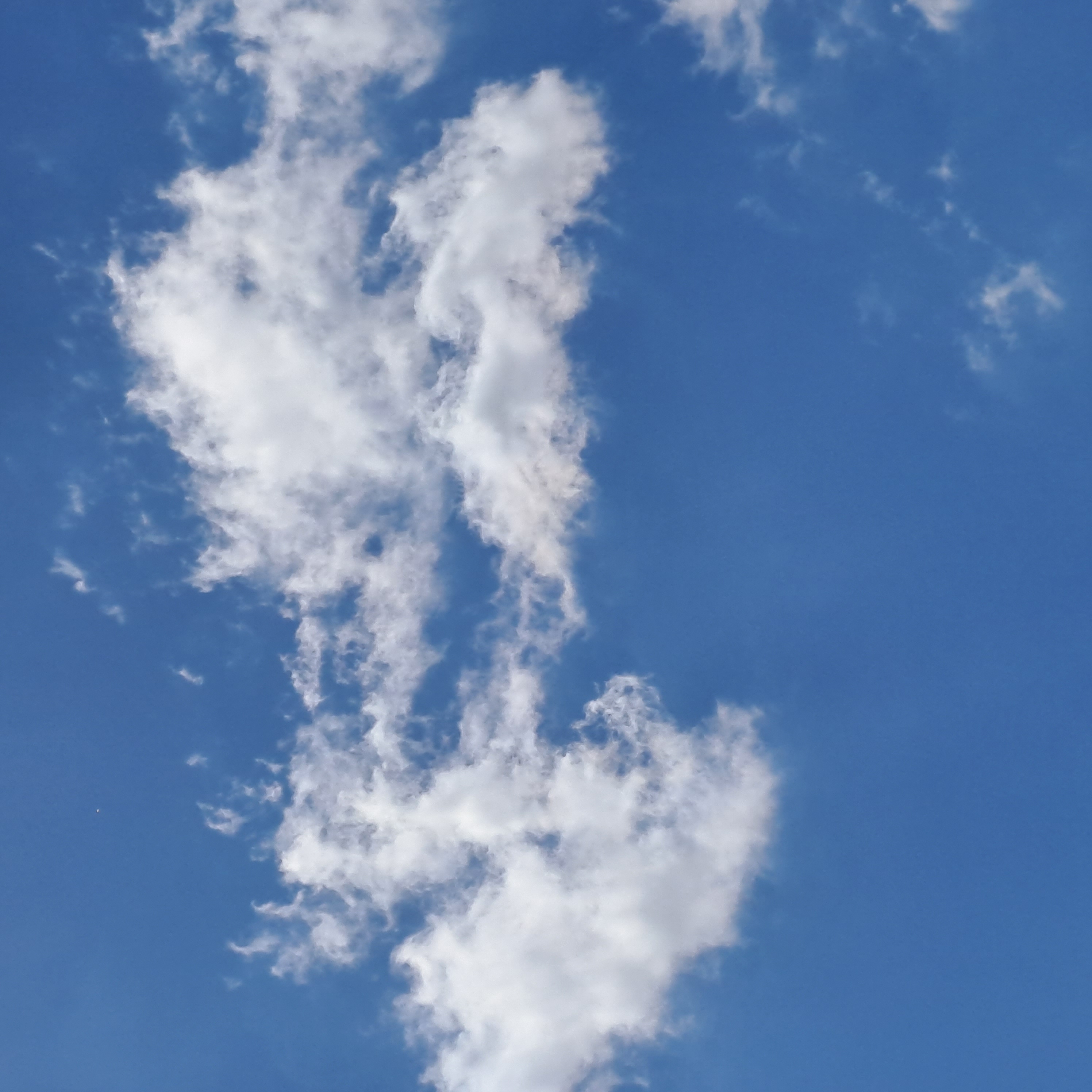 Kelly | Template Creator | Notion Marketplace