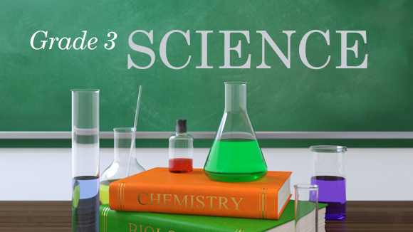 3rd Grade Science Review Earth Sciences Quiz Quizizz 3rd Grade Science Review Earth Sciences Quiz Quizizz