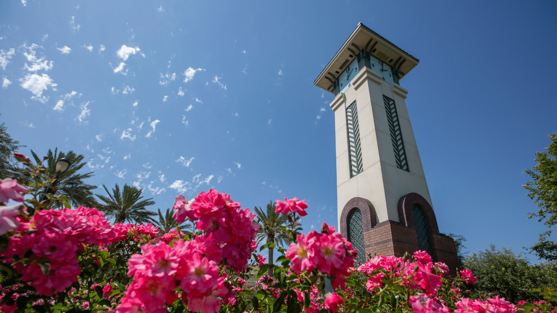 Your Complete Guide to Ontario Airport Transportation with Prime Time ...