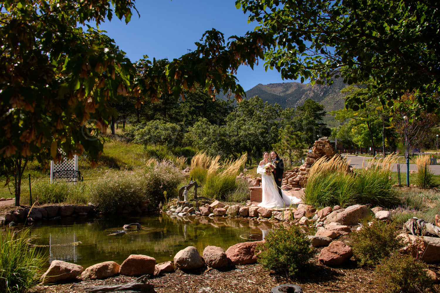 Maddy And Timmys Wedding Client Galleries