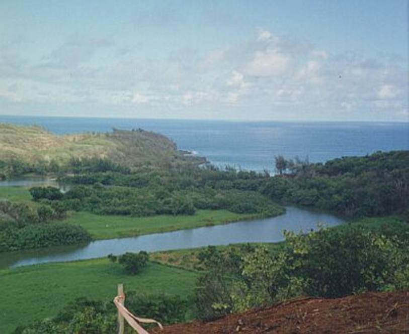 Kahili Makai Road Land For Sale In Kilauea 101655 Roberta Haas Hawaii Life