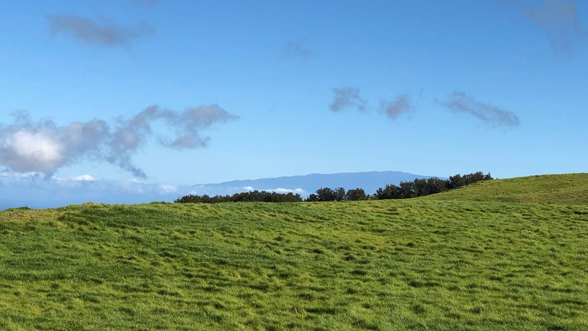 59-1777 KOHALA RANCH RD | Land for Sale in KAMUELA | 710590 | Hawaii Life