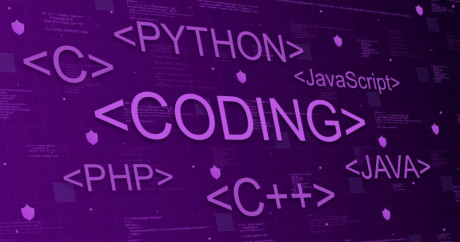 Coding Games From Beginner to Professional Level | RoboGarden