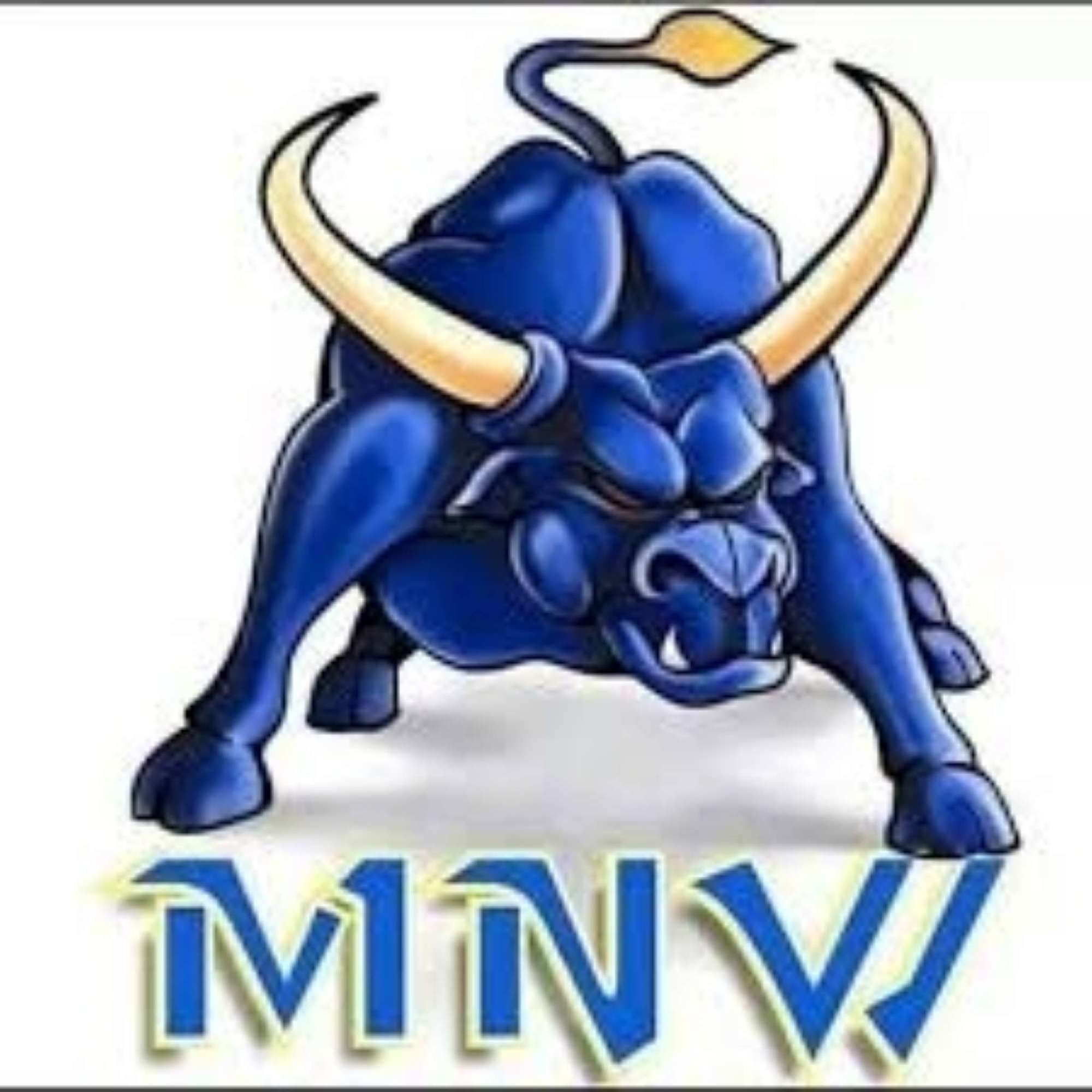 The Northwestern Bulls defeat the Matanzas Pirates 33 to 0 - ScoreStream