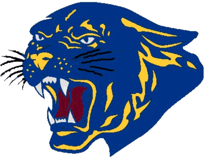 The Dudley Panthers - ScoreStream