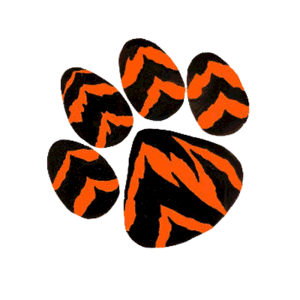 The Southside Tigers - ScoreStream