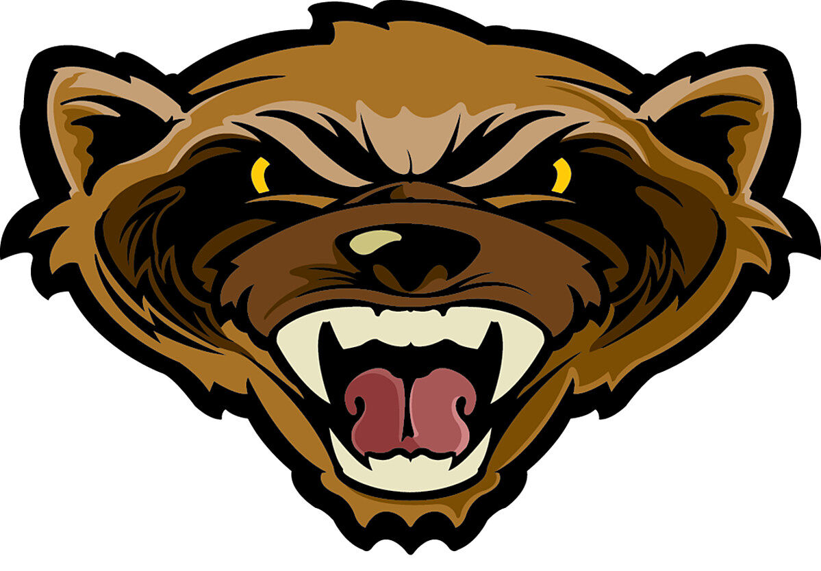 The Riverton Wolverines - ScoreStream