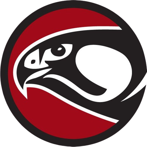 The York Falcons - ScoreStream